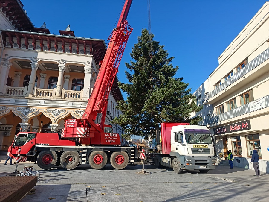 Vin brazii. Astăzi a fost amplasat cel din Piața Daciei - Campus TV - Știri video și noutăți din ...